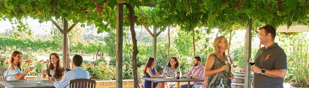 Swan Valley Cellar Door | Pinelli Estate | Wine Tasting